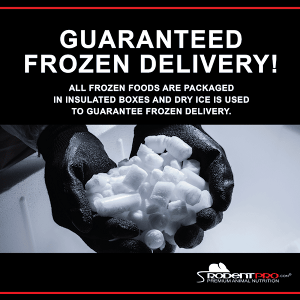 Frozen Rat Pups for Sale: Shop Online at RodentPro